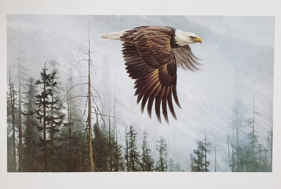 Robert Bateman Majesty on Wing Bald Eagle 1981 Bookplate - Etsy