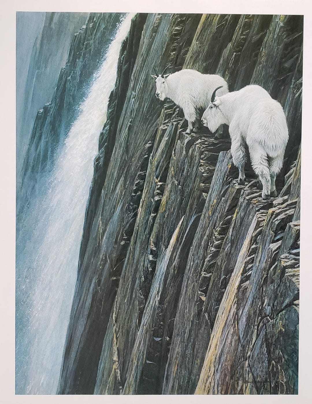 Robert Bateman Sheer Drop Mountain Goats 1981 Bookplate - Etsy Canada