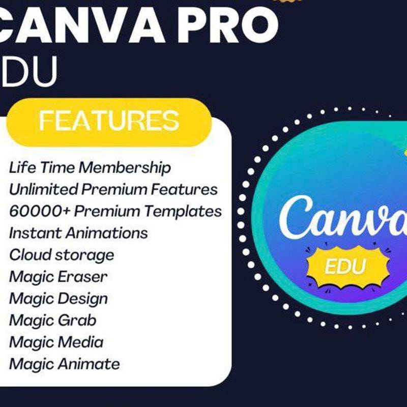 Raid Promo Codes Oct 2025 List of Codes - Etsy New Zealand