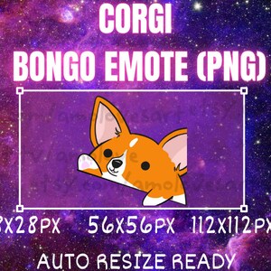Corgi Bongo Twitch Emote | DIGITAL DOWNLOAD - Etsy