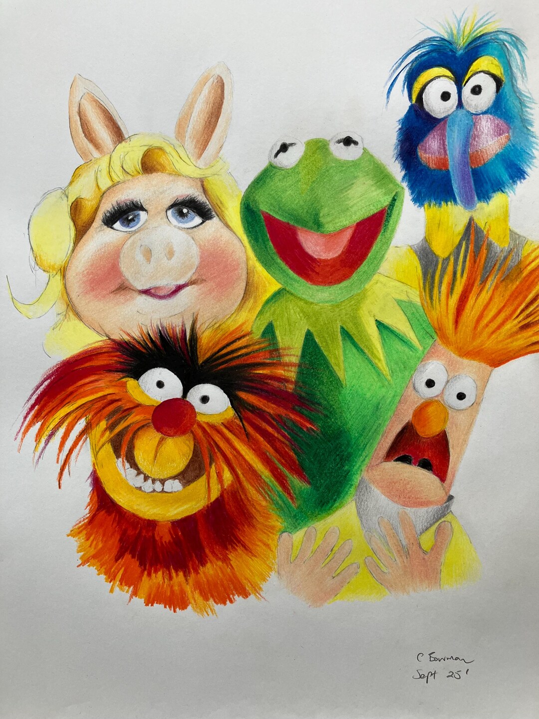 Coloured Pencil Drawing Print of Characters From the Muppet Show. - Etsy