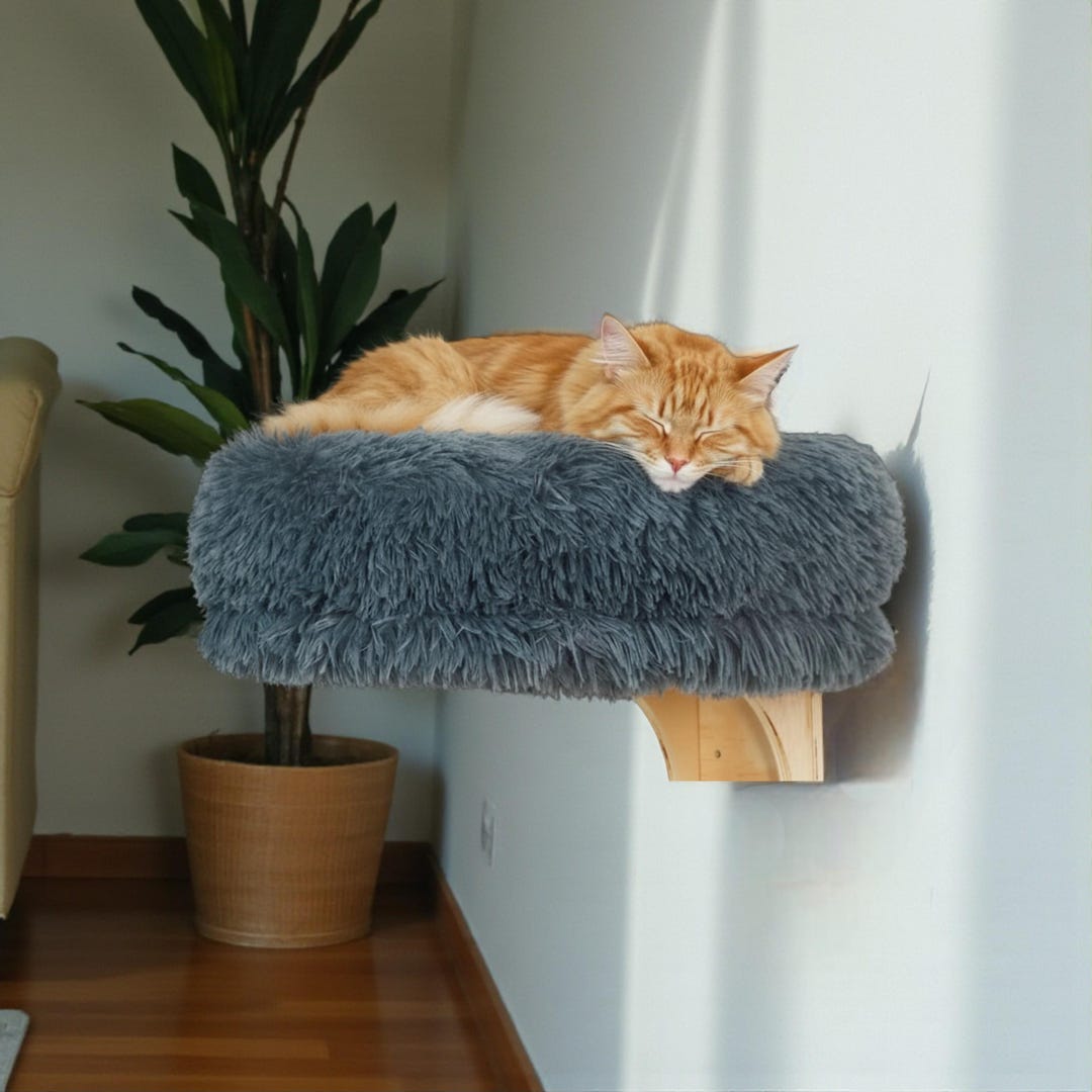 Wall Mounted Cat Perch Bed, Wooden Cat Shelf Bed, Space Saving Cat ...