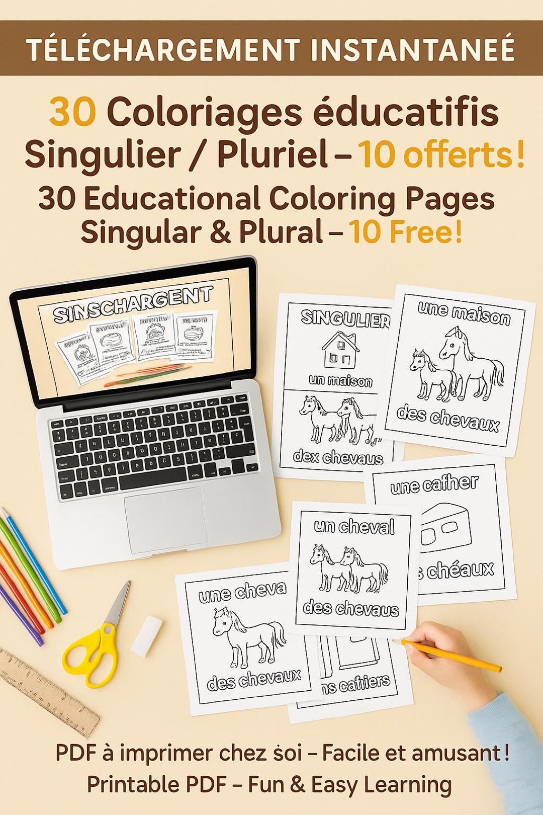 30 French Educational Coloring Pages – Singular and Plural Grammar ...