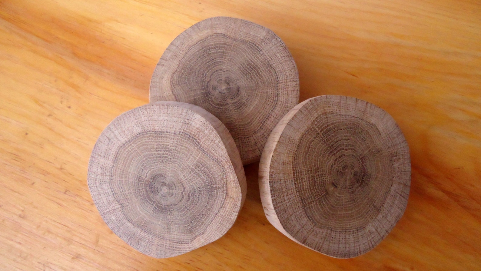 Oak wood slice Coasters Wood Slice Rustic Wedding | Etsy