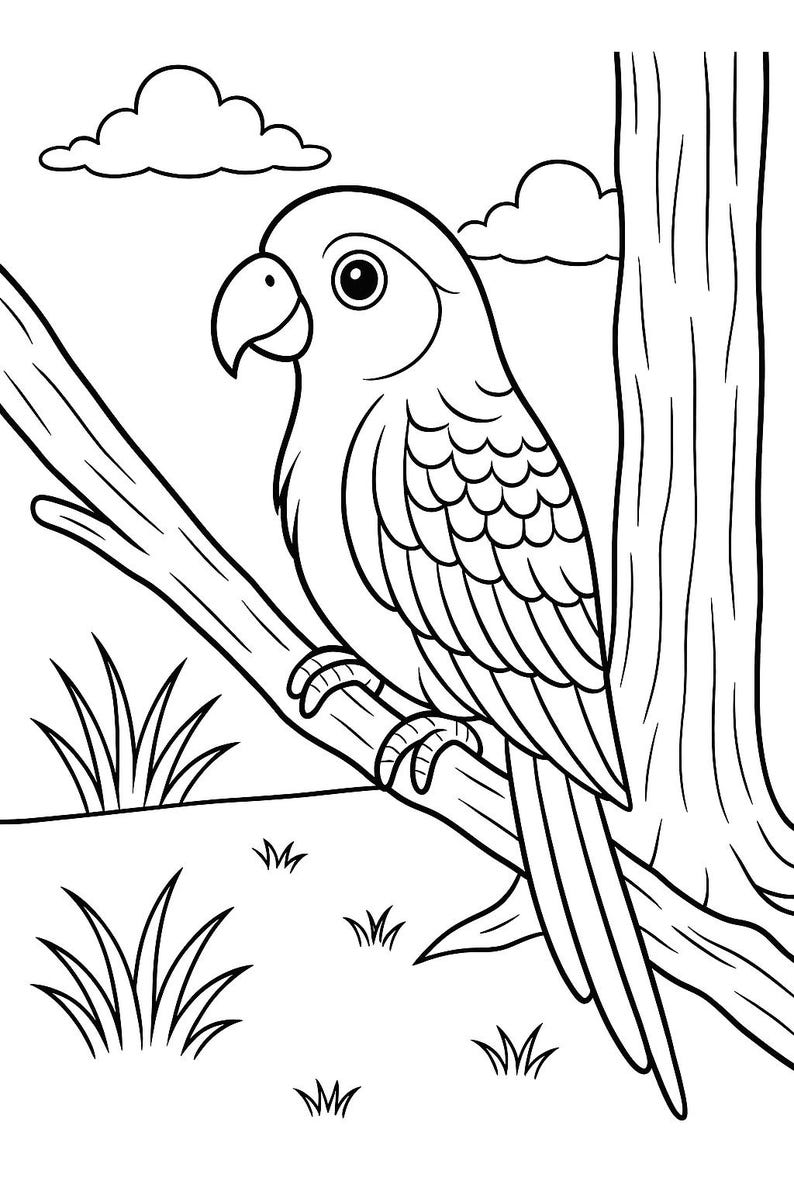 Birds Coloring Pages | 10 Printable Bird Sheets PDF | Kids & Adults ...
