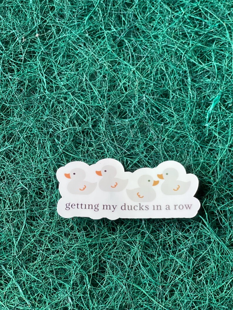 Ducks in a Row - Etsy