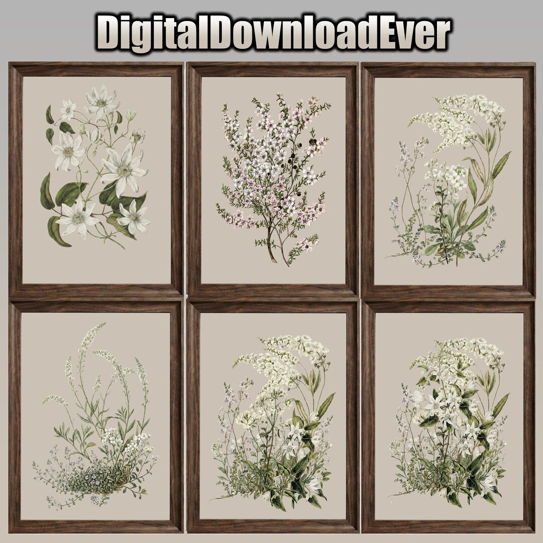 Vintage Botanical Prints Set of SIX – Neutral Floral Gallery Wall ...
