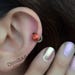 Ladybug Helix Earring, Gold Piercing, Tragus Jewelry - Etsy
