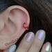 Ladybug Helix Earring, Gold Piercing, Tragus Jewelry - Etsy