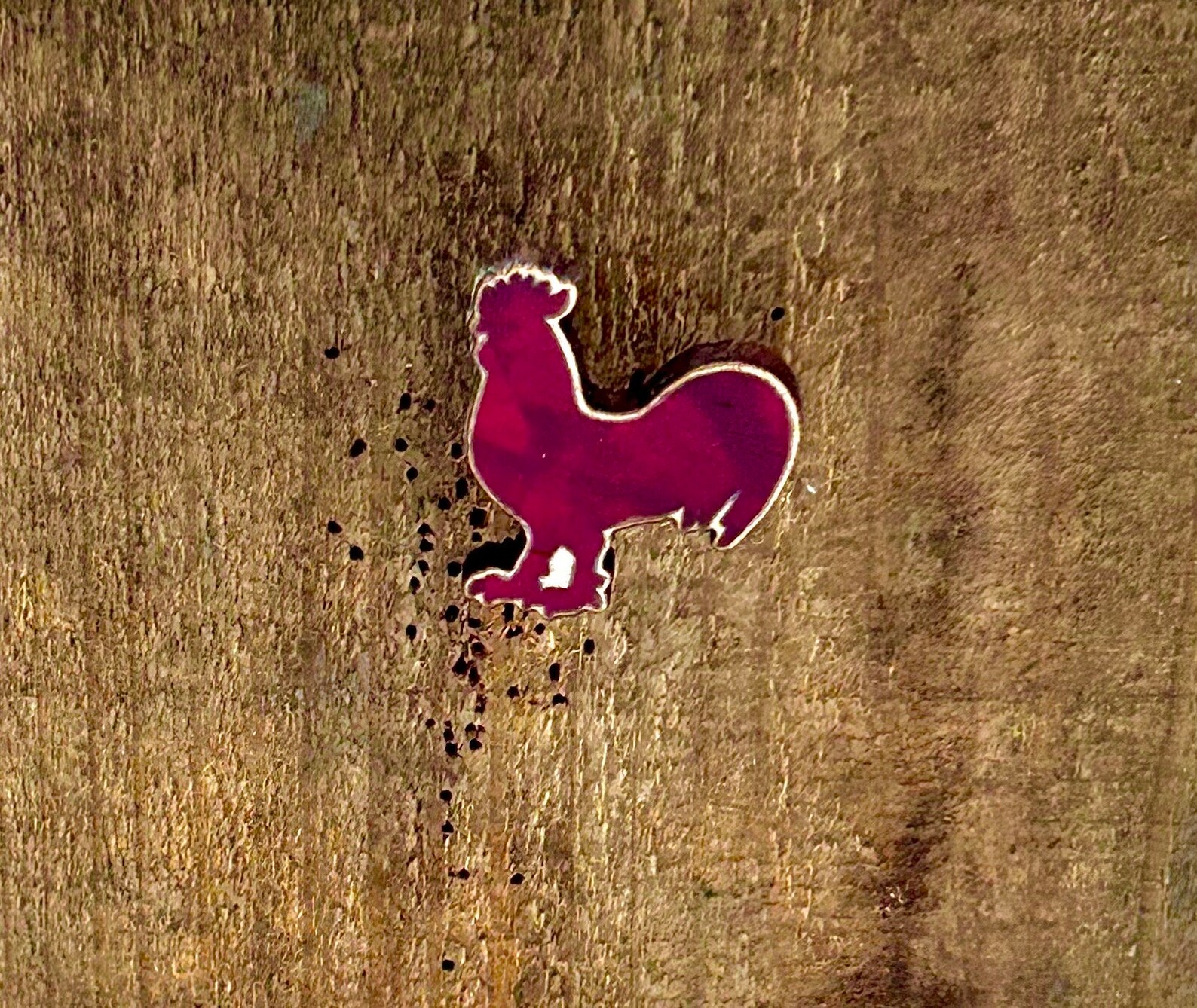 Red Rooster Mother of Pearl Inlay Pin - Etsy