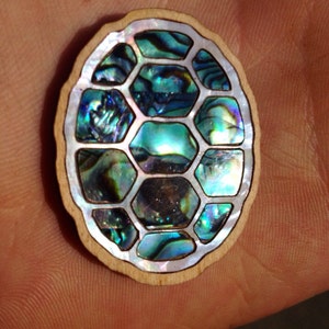 Abalone Turtle Shell Protection Pin - Etsy