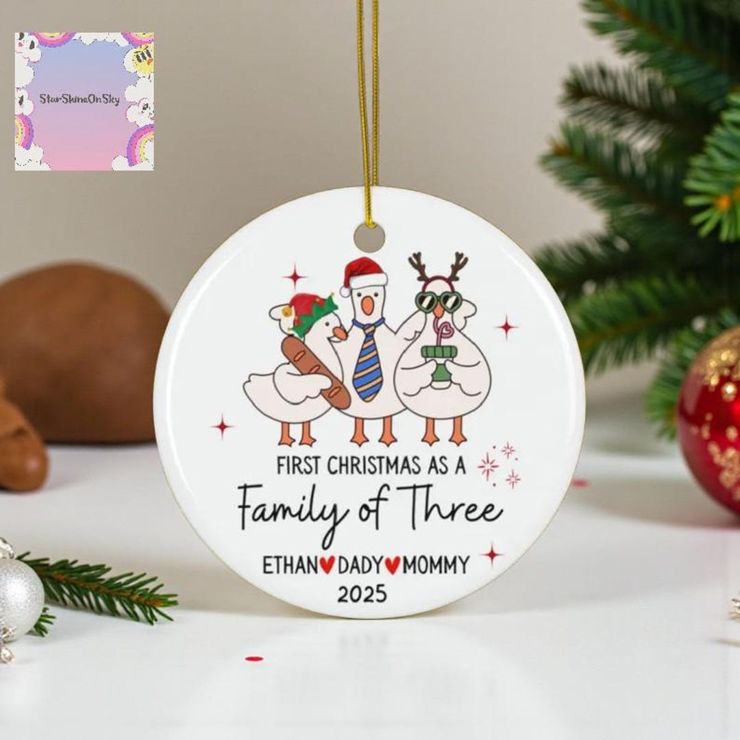 Personalized Goofy Goose Family Christmas Ornament: Family Christmas ...