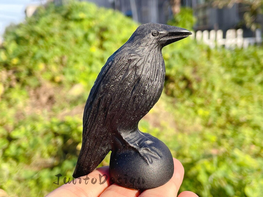 Hand Carved Obsidian Bird Skull: Crystal Home Decor Gift (3.1'') - Etsy