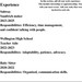 Resume/cv Template - Etsy