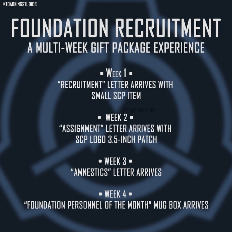 Foundation Recruitment Experience A Multi-week Gift Package - Etsy
