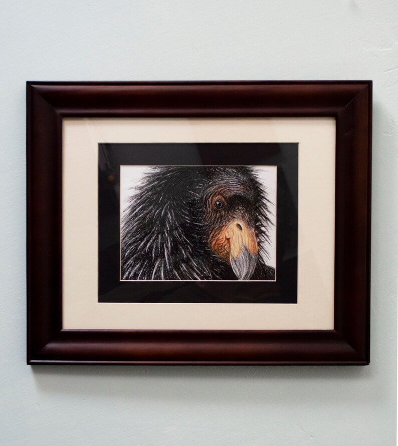 California Condor Drawing Pen and Ink on Watercolor Paper | Etsy