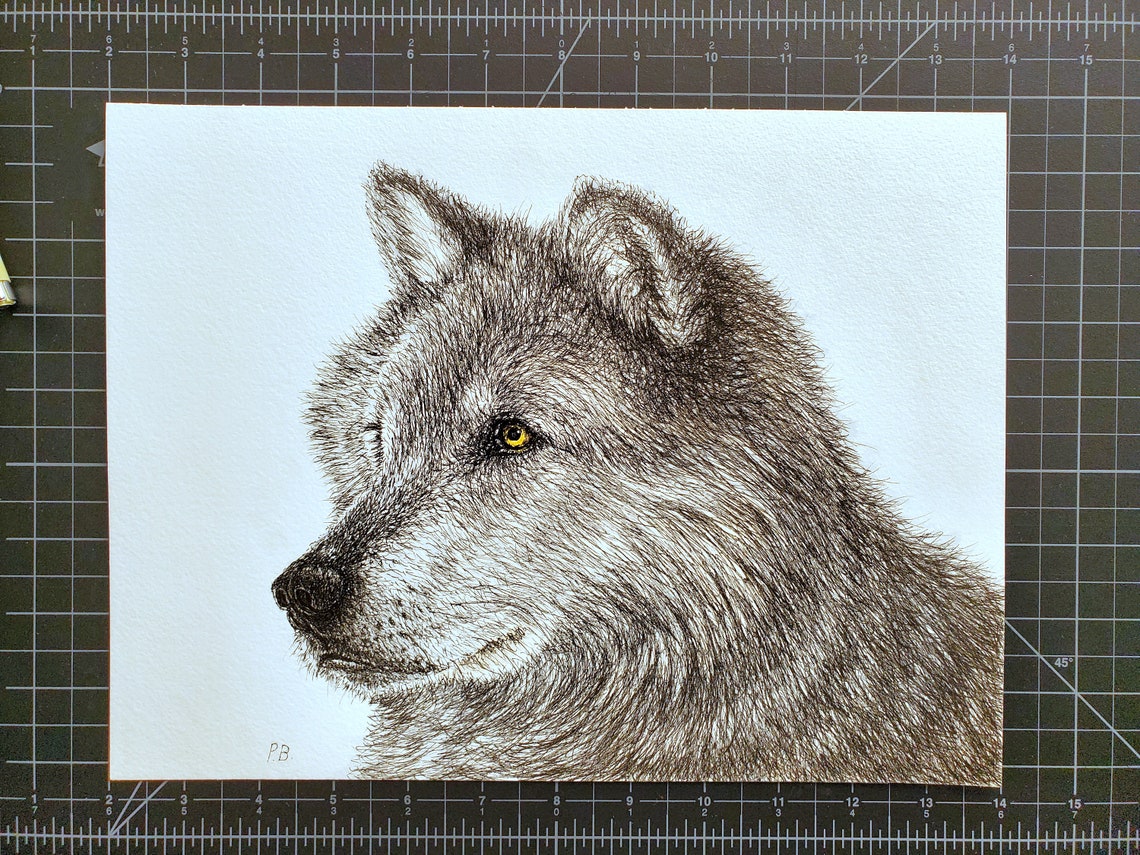 Gray Wolf Portrait Original Art Pen and Ink Drawing With Watercolor - Etsy