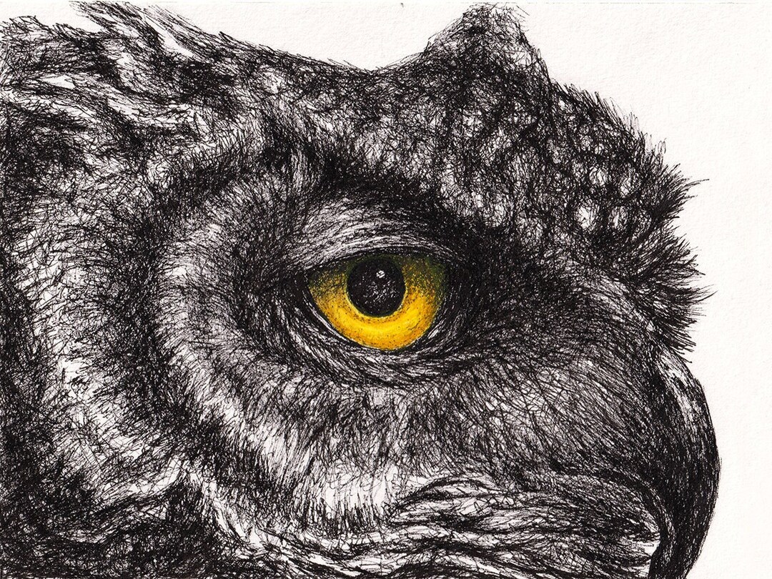 Silent Vigil - Horned Owl Drawing - Original Pen and Ink on Watercolor ...
