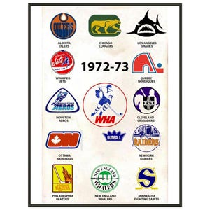 Vintage 1972-73 WHA Hockey Team Logos Classic Semi-Glossy Paper Metal ...
