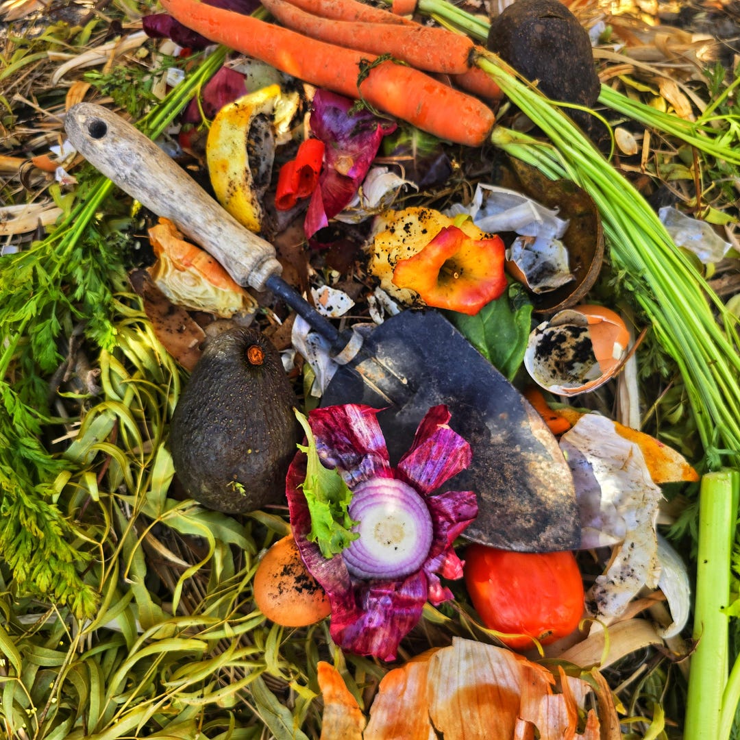 Organic Compost Art – Wall Hanging or Card Stock - Sustainable Art ...