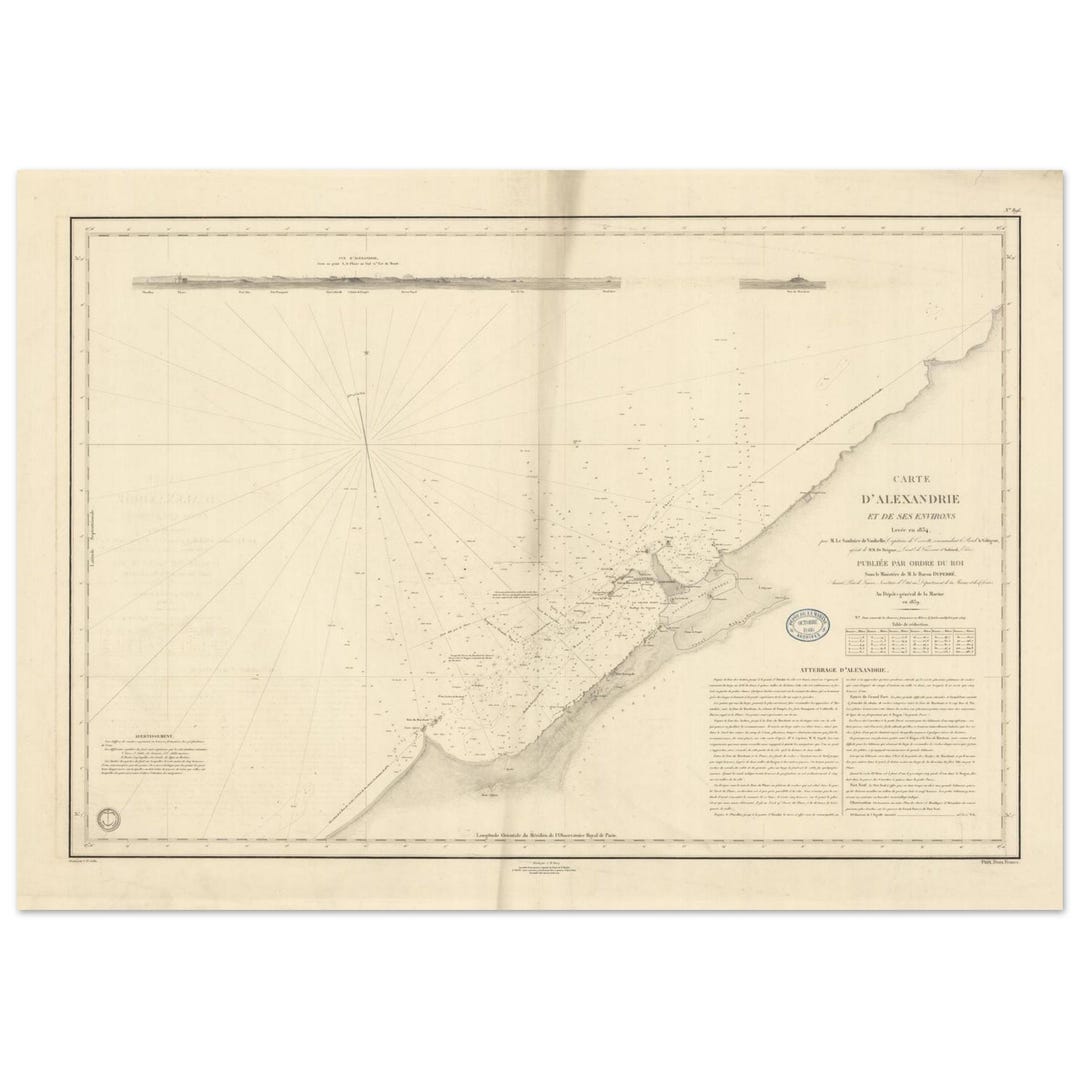 1834 Antique Map of Alexandria Egypt – Carte D’alexandrie – Large ...