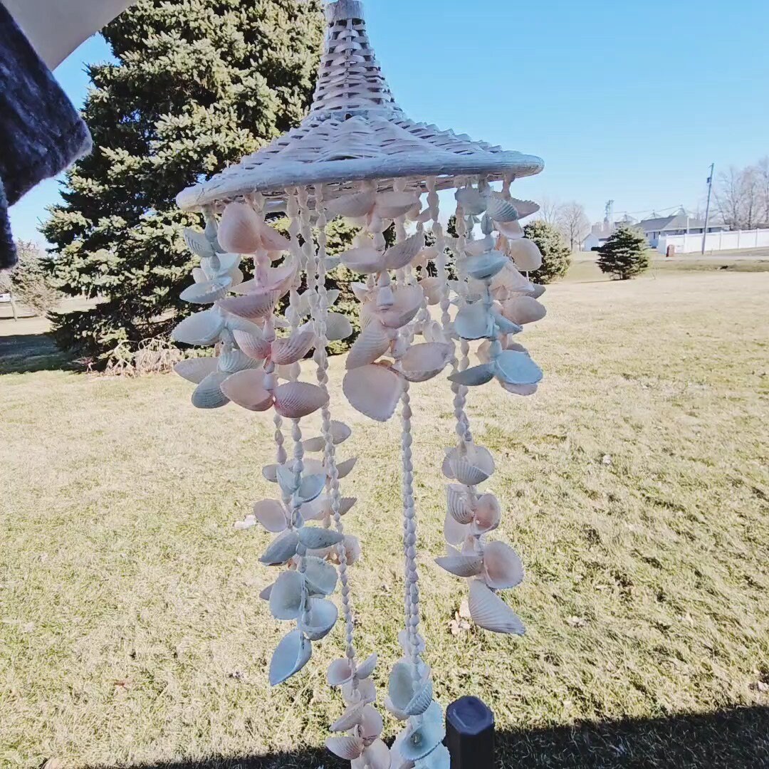 White Sea Shell Hanger Wind Chime Decor Beach House Boho Ocean Wicker ...
