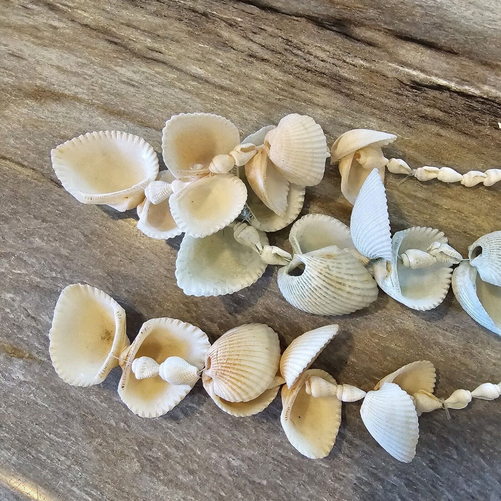 White Sea Shell Hanger Wind Chime Decor Beach House Boho Ocean Wicker ...