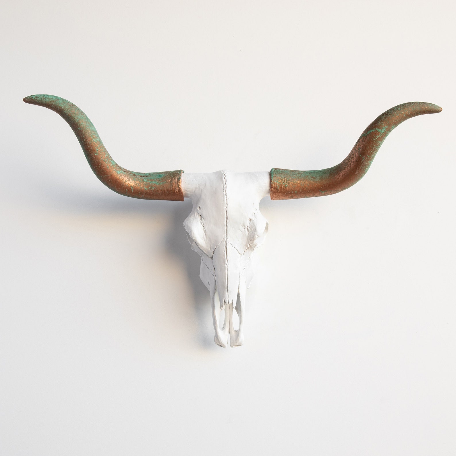 Faux Taxidermy Texas Longhorn Skull Mount Wall Decor White - Etsy