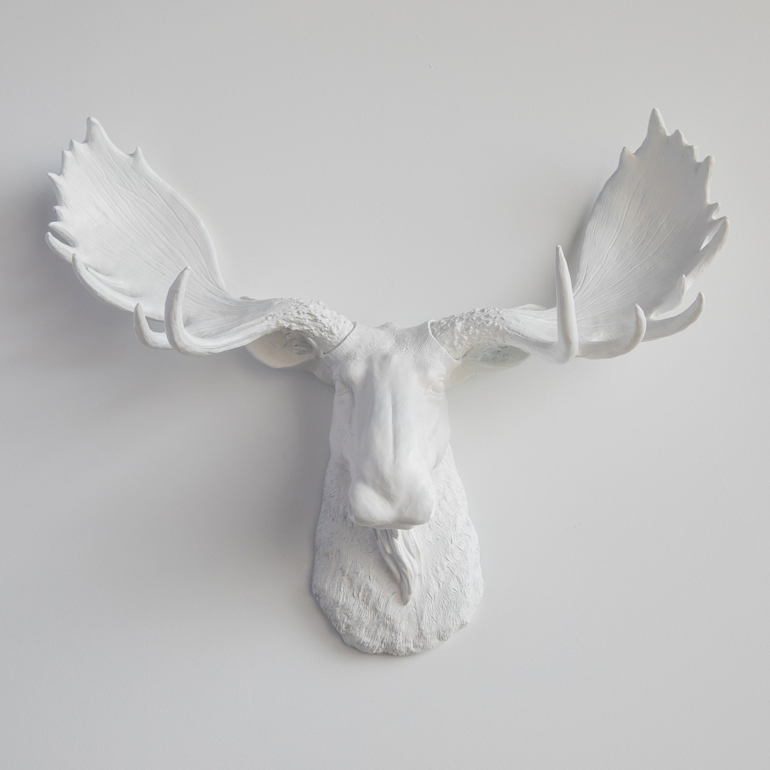 Faux Taxidermy Moose Head Wall Mount - Wall Decor - White - M0101 - Etsy