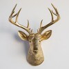 Antique Deer Mount, Stag Head Taxidermy - Etsy
