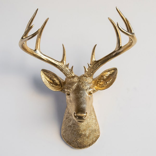 Deer Head Wall Mount - Etsy