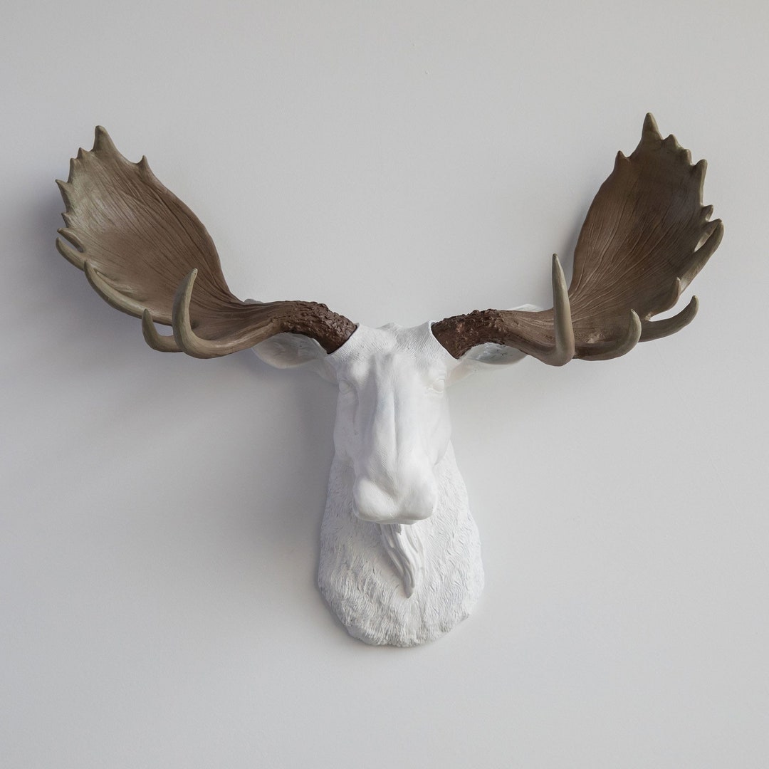Faux Taxidermy Moose Head Wall Mount - Wall Decor - White and Natural ...