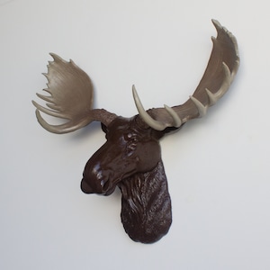 Faux Taxidermy Moose Head Wall Mount - Wall Decor - Espresso and ...