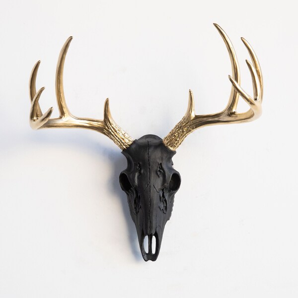Fake Deer Skull - Etsy