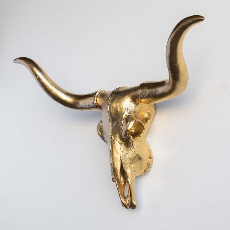 Faux Taxidermy Texas Longhorn Skull Mount Wall Decor Gold - Etsy
