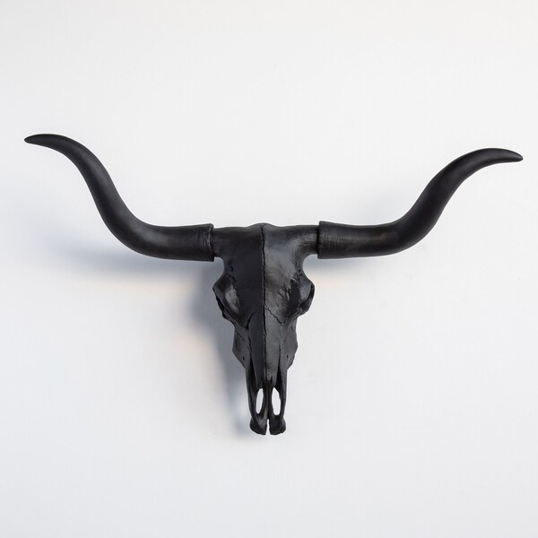 Longhorn Skull - Etsy