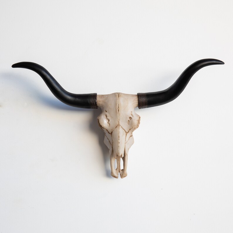 Faux Taxidermy Mini Texas Longhorn Skull Mount Wall Decor - Etsy