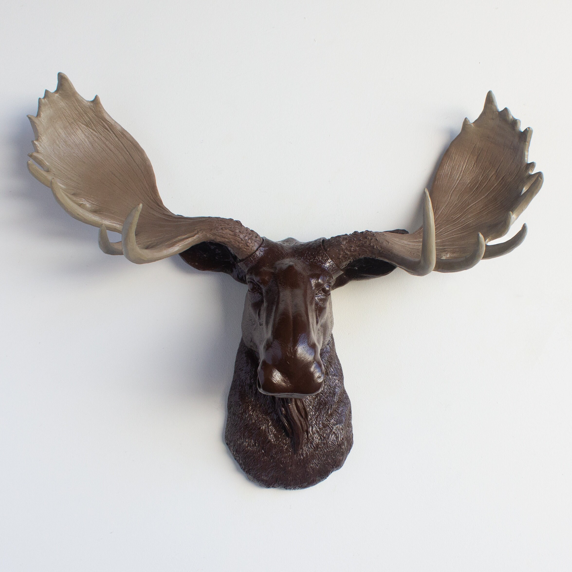 Faux Taxidermy Moose Head Wall Mount Wall Decor Espresso and Natural ...