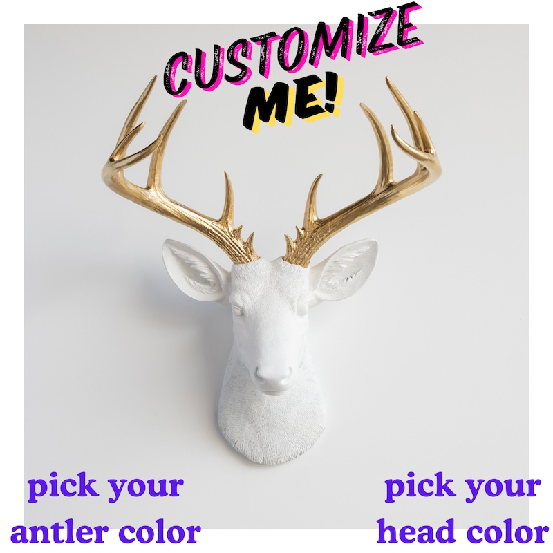 Faux Taxidermy Bird Heads - Etsy