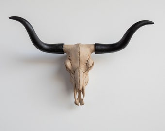 Faux Taxidermy Mini Texas Longhorn Skull Mount Wall Decor White/gold ...