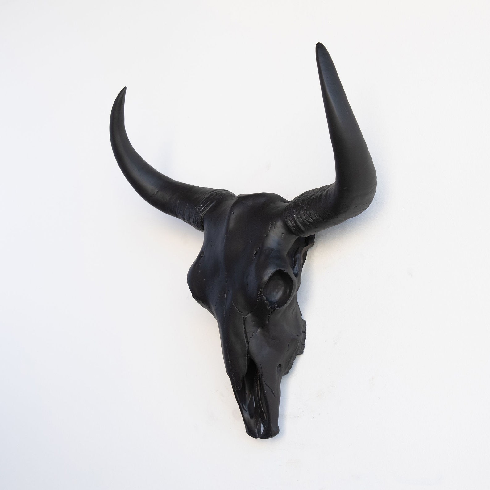 Faux Taxidermy XL Bison Skull Mount Wall Decor Black - Etsy