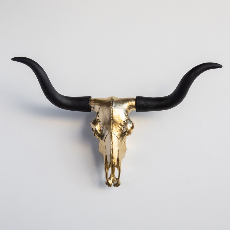 Faux Taxidermy Texas Longhorn Skull Mount Wall Decor Gold - Etsy