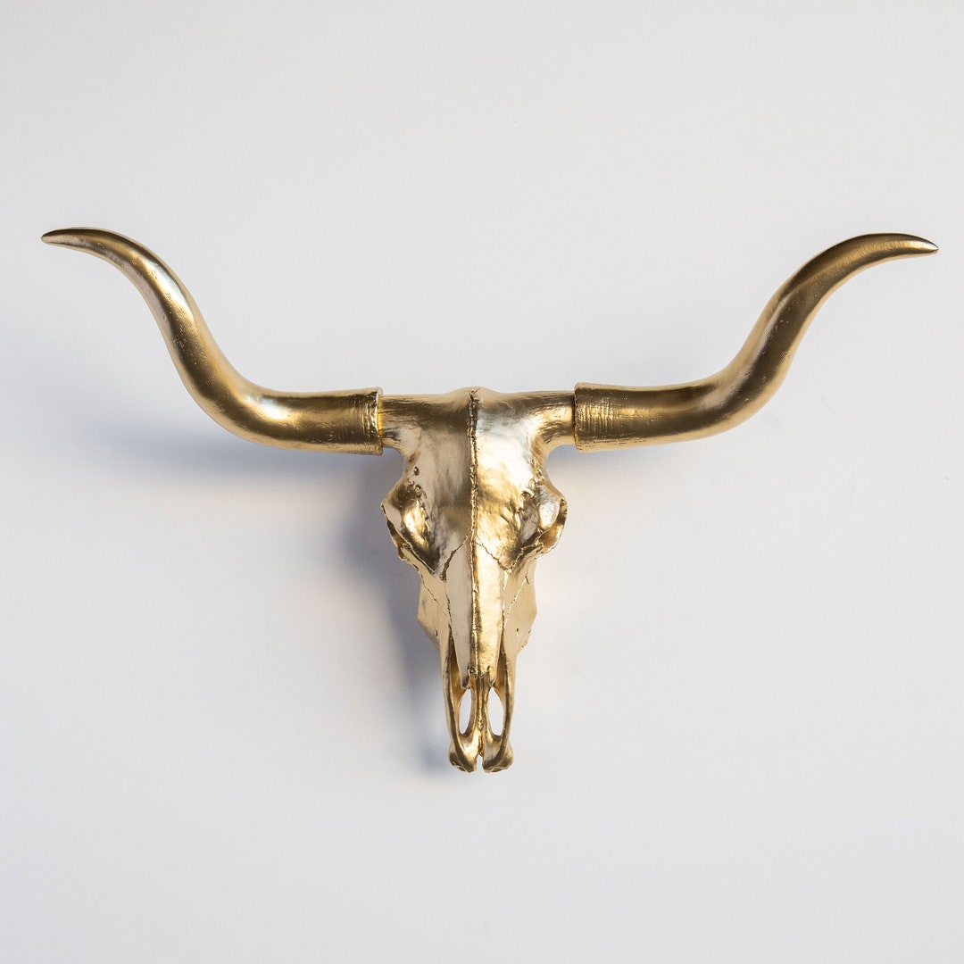 Faux Taxidermy Texas Longhorn Skull Mount Wall Decor Gold TL0808 - Etsy