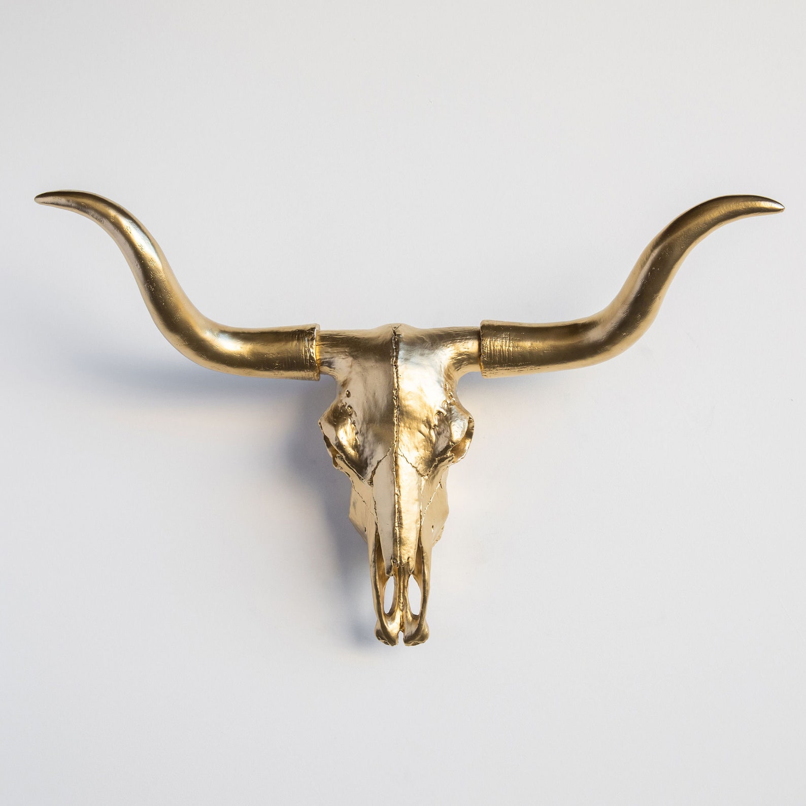 Faux Taxidermy Texas Longhorn Skull Mount Wall Decor Gold - Etsy