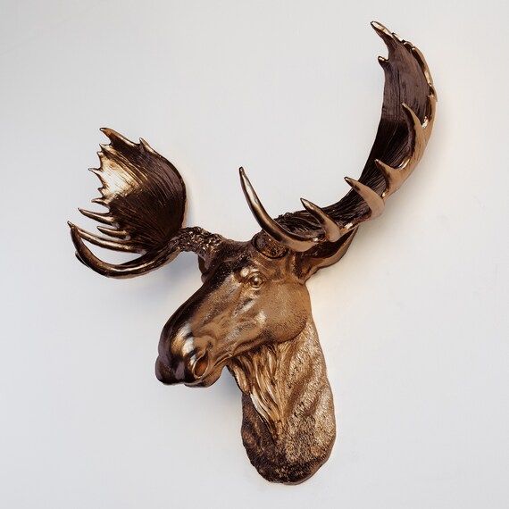 Mounted Moose Head