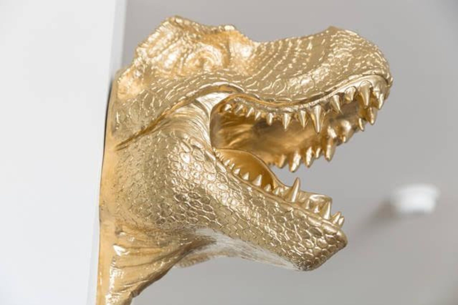 Faux Taxidermy T-rex Wall Mount Wall Decor Black and Gold | Etsy