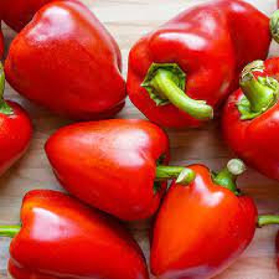 30+ Seeds, Sweet Pepper Seeds - Big Red Bell Pepper, Open Pollinated ...