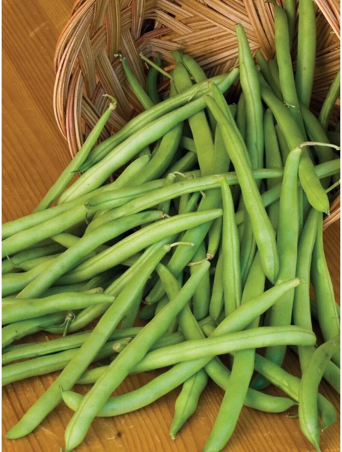 50+ Seeds, Bean - Provider , Heirloom Seeds, Vegetable Seeds, Non-gmo ...