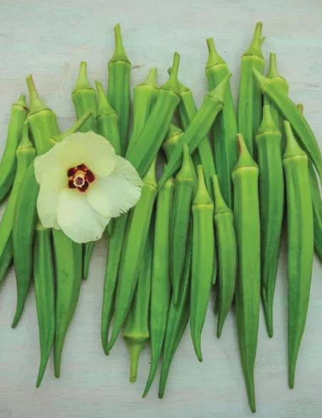 100+ Seeds, Okra Seeds - Clemson Spineless, Open Pollinated, Heirloom ...