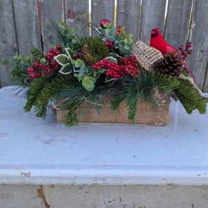 Christmas Arrangement, Small Cardinal Evergreen Crate, Red Bird ...